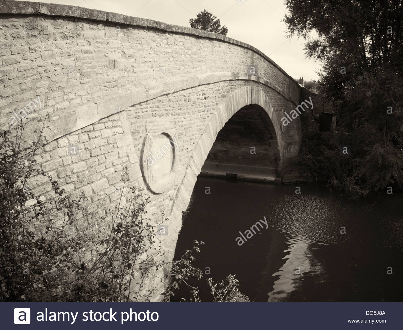 TADPOLE BRIDGE – Steve Ponty
